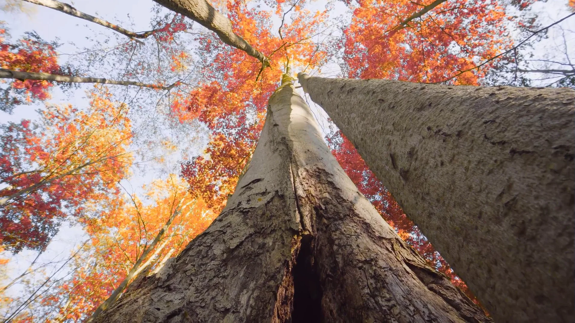 Matthew Trueman’s “Voices in A Cool Wet Darkness” Opens Tonight ...