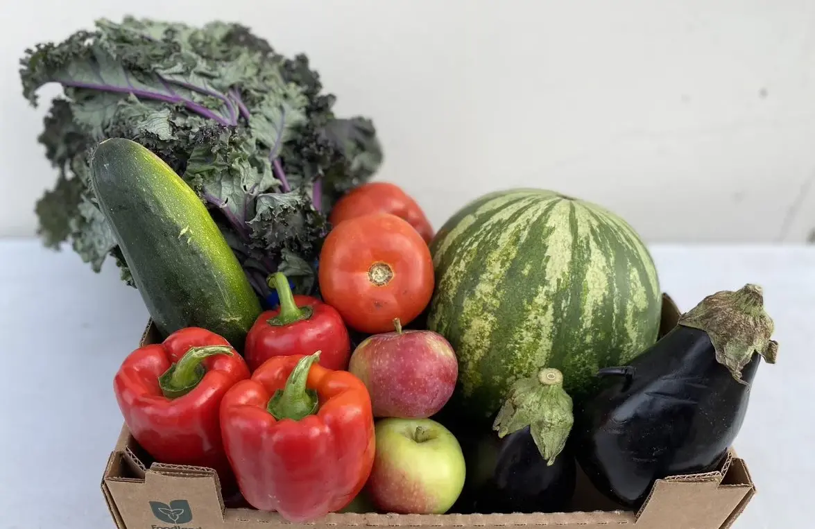 York Region Food Network Brings Good Food Box Program To Stouffville ...