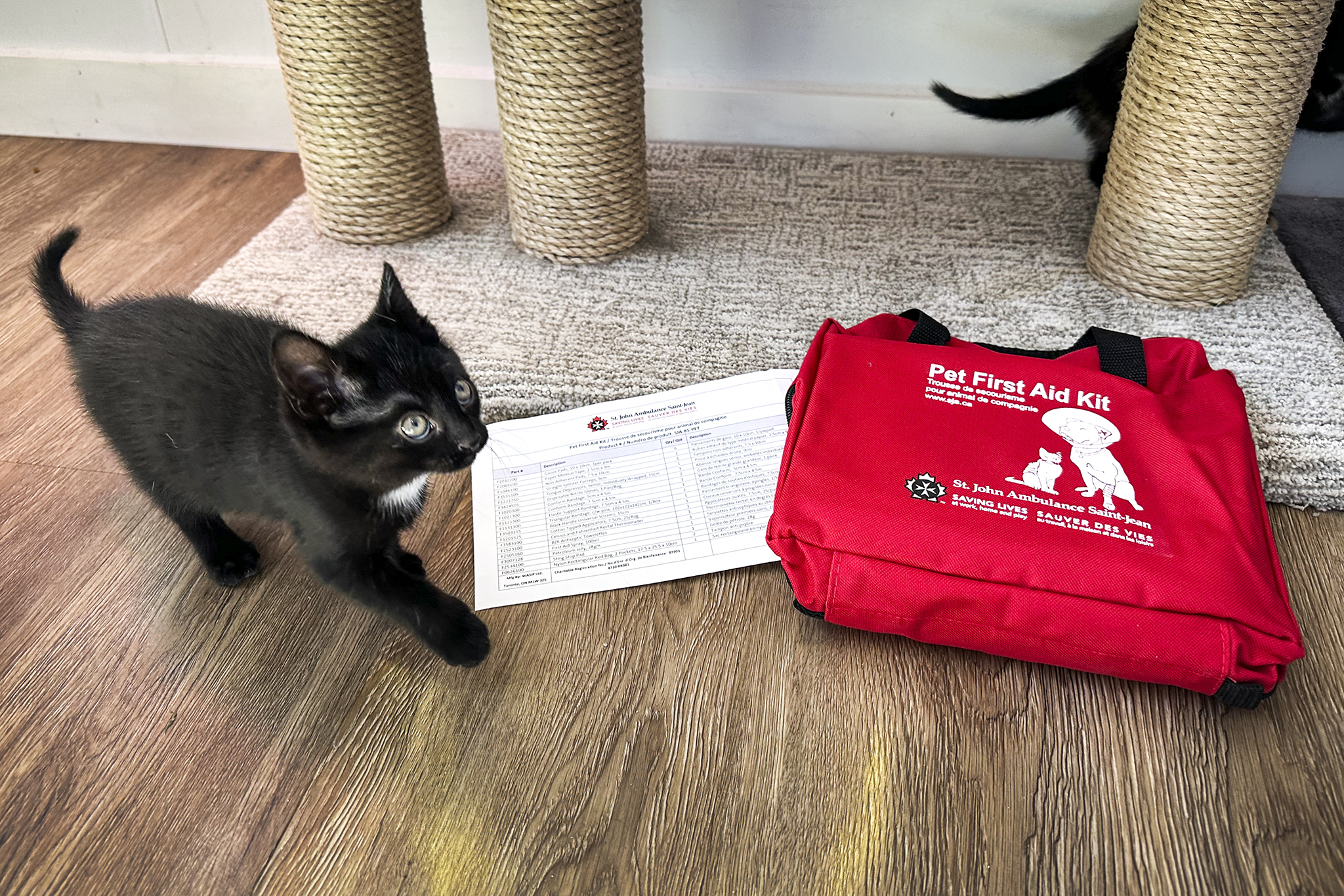 Provincial Grant Boosts Ontario SPCA’s Emergency Preparedness Efforts ...