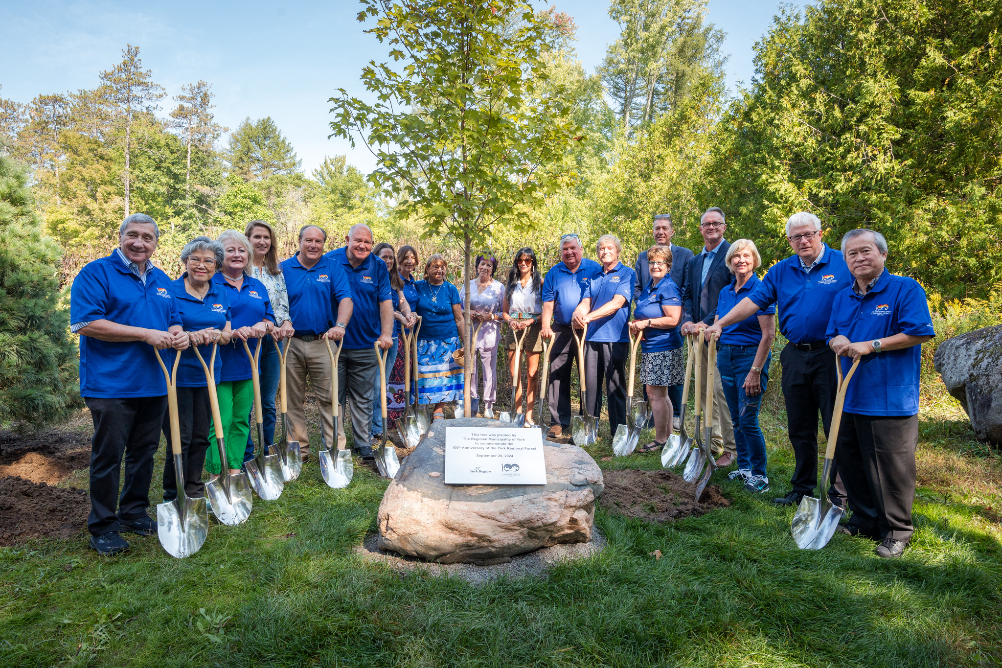 York Region Celebrates Regional Forest’s 100th Anniversary With ...